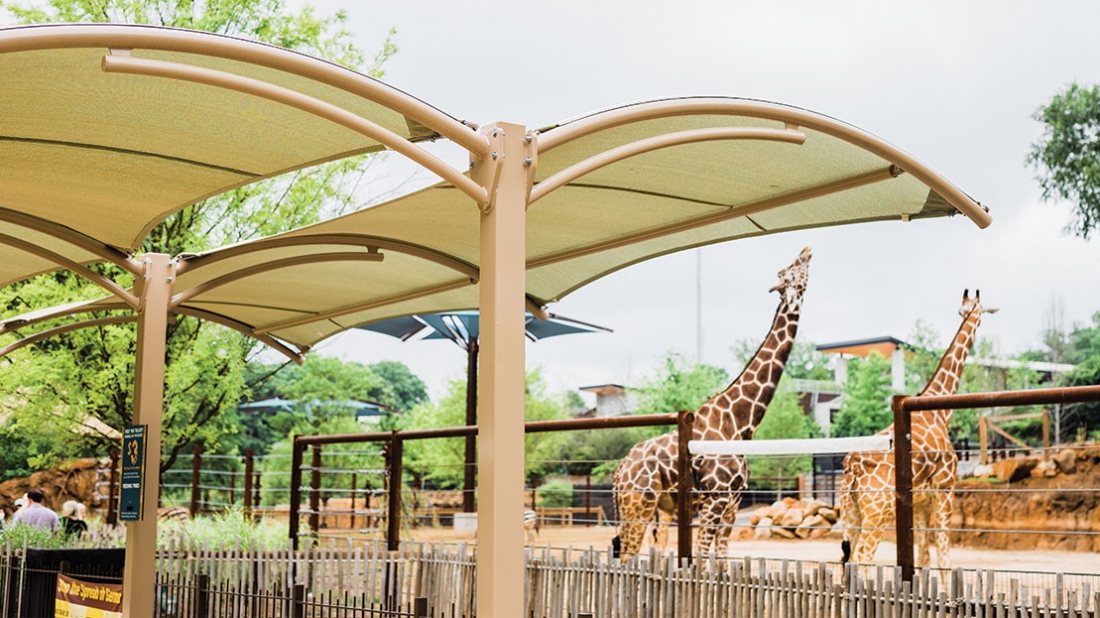 Zoo Shade Structures & Outdoor Sun Shields For Sale